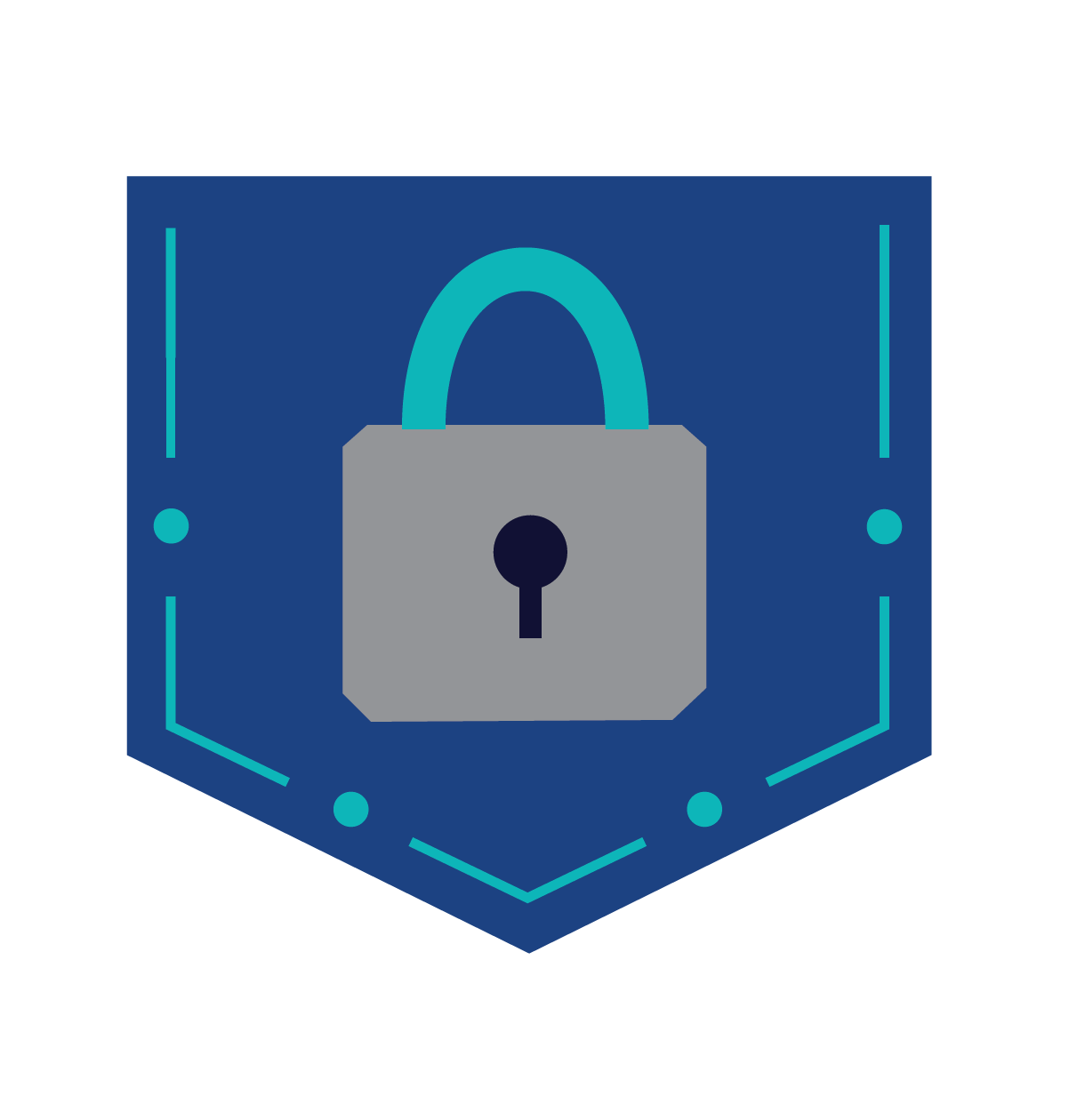 Pocket Security Assessment Tool